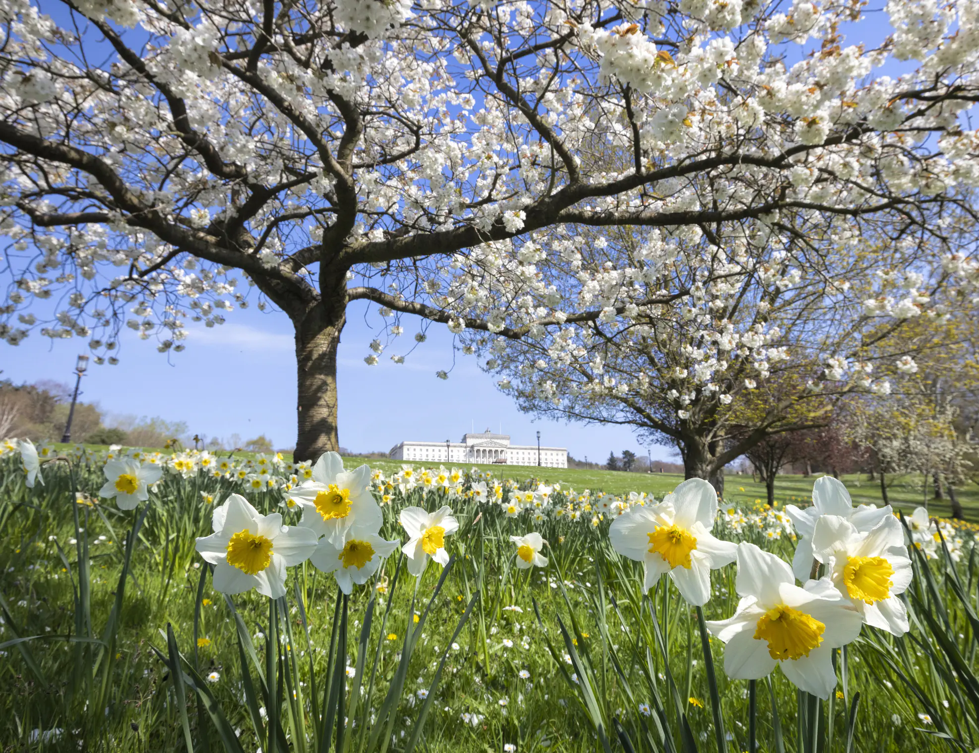 Best parks in Belfast - Lonely Planet