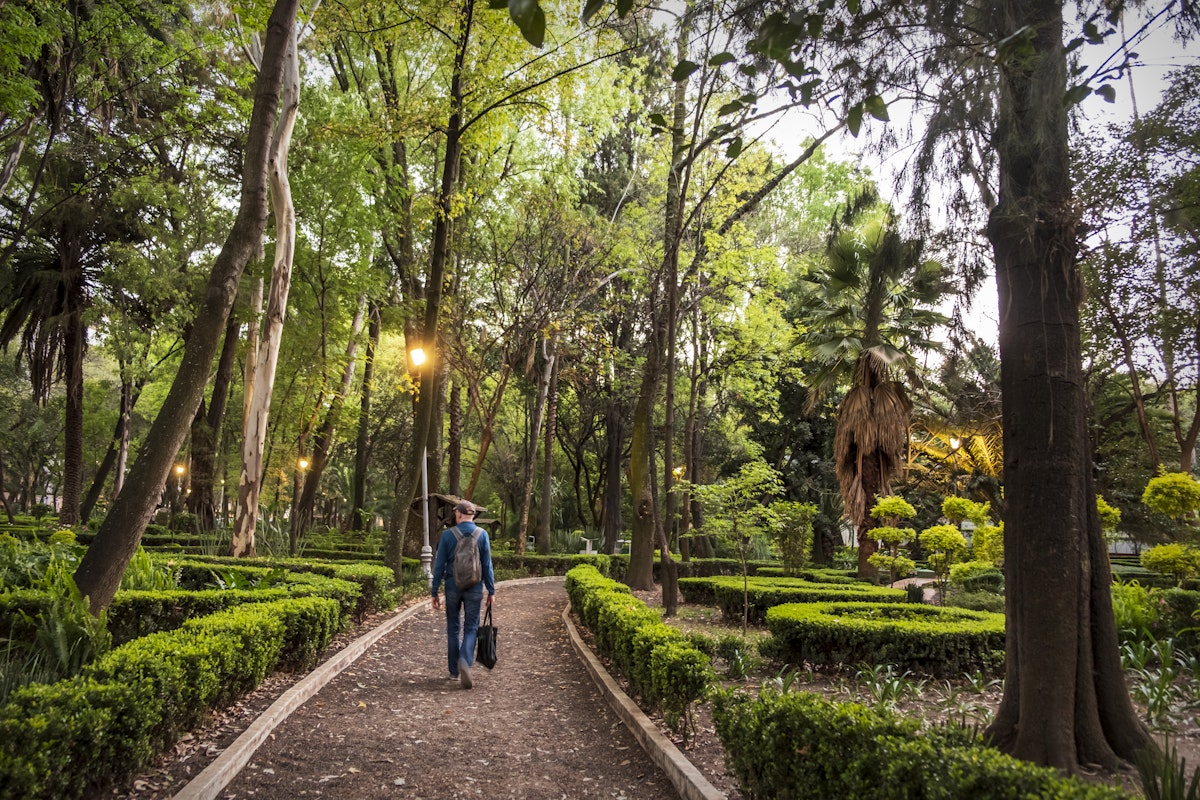 Best parks in Mexico City - Lonely Planet