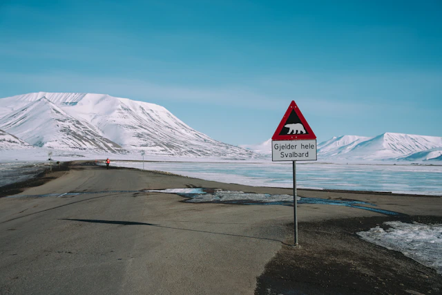 A local's guide to Svalbard - Lonely Planet