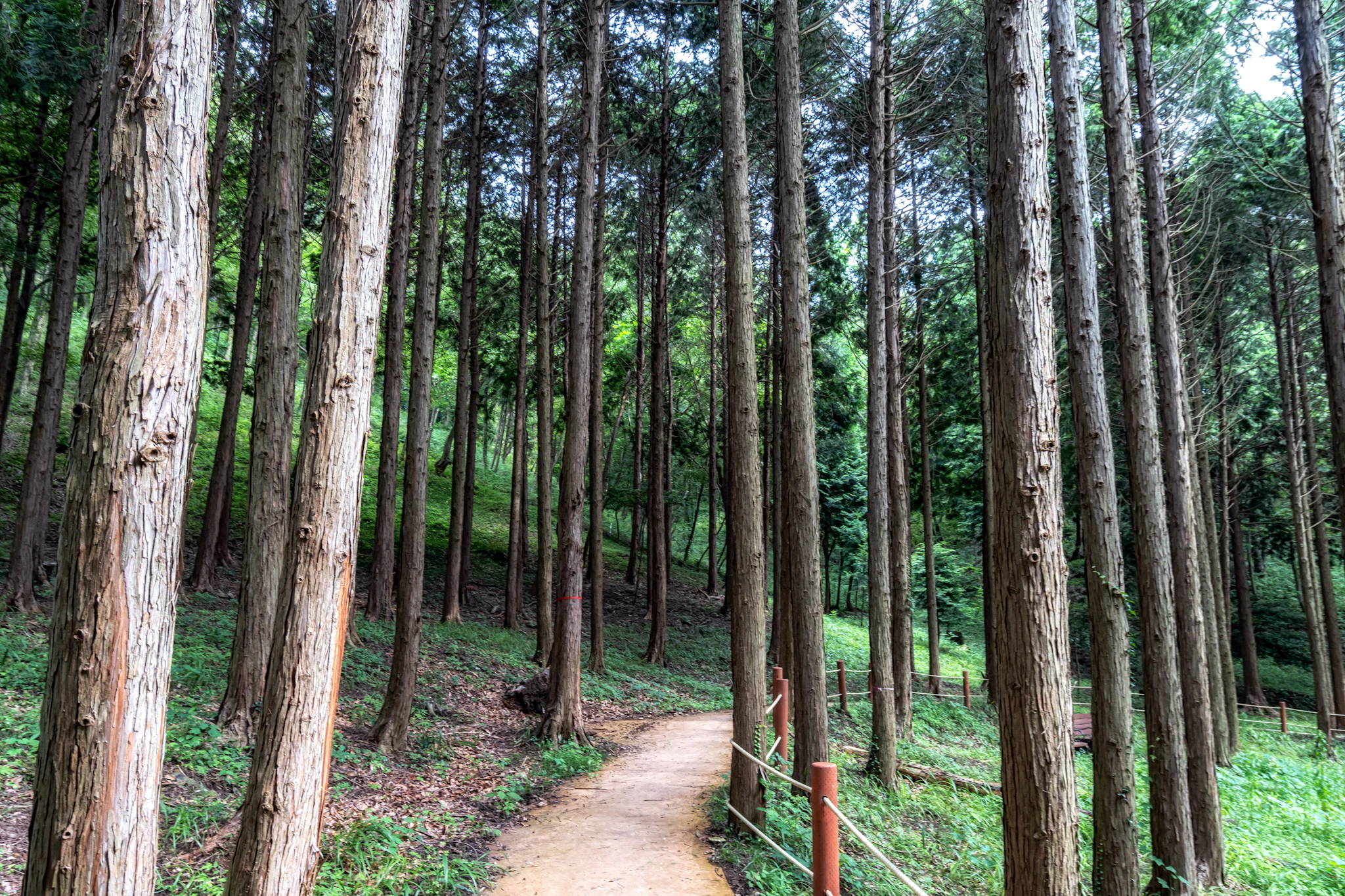 Best national parks in South Korea - Lonely Planet