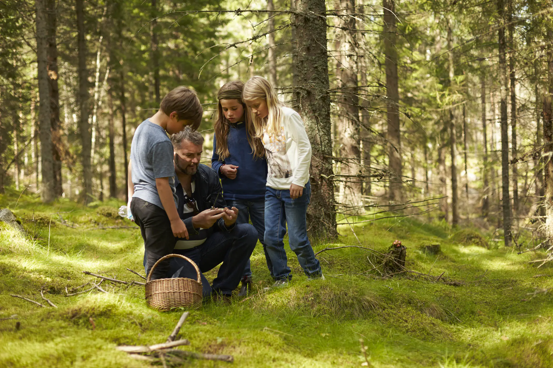15 of the best national parks in Sweden - Lonely Planet