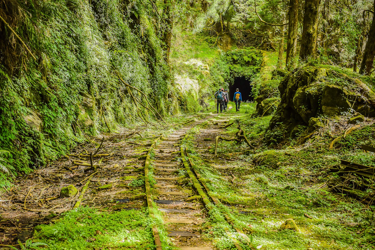10 best hikes in Taiwan - Lonely Planet