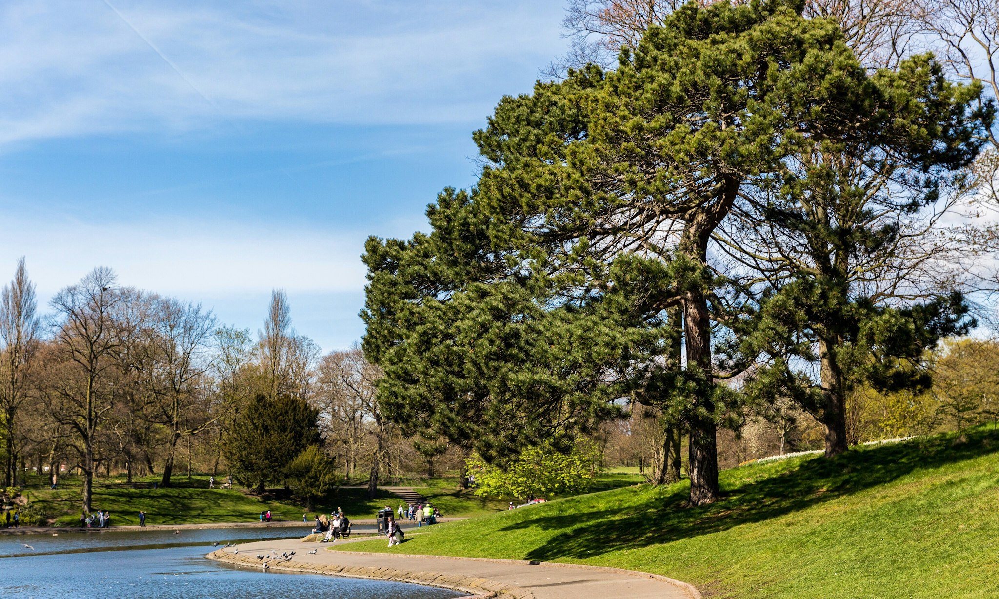 Best neighborhoods in Liverpool - Lonely Planet