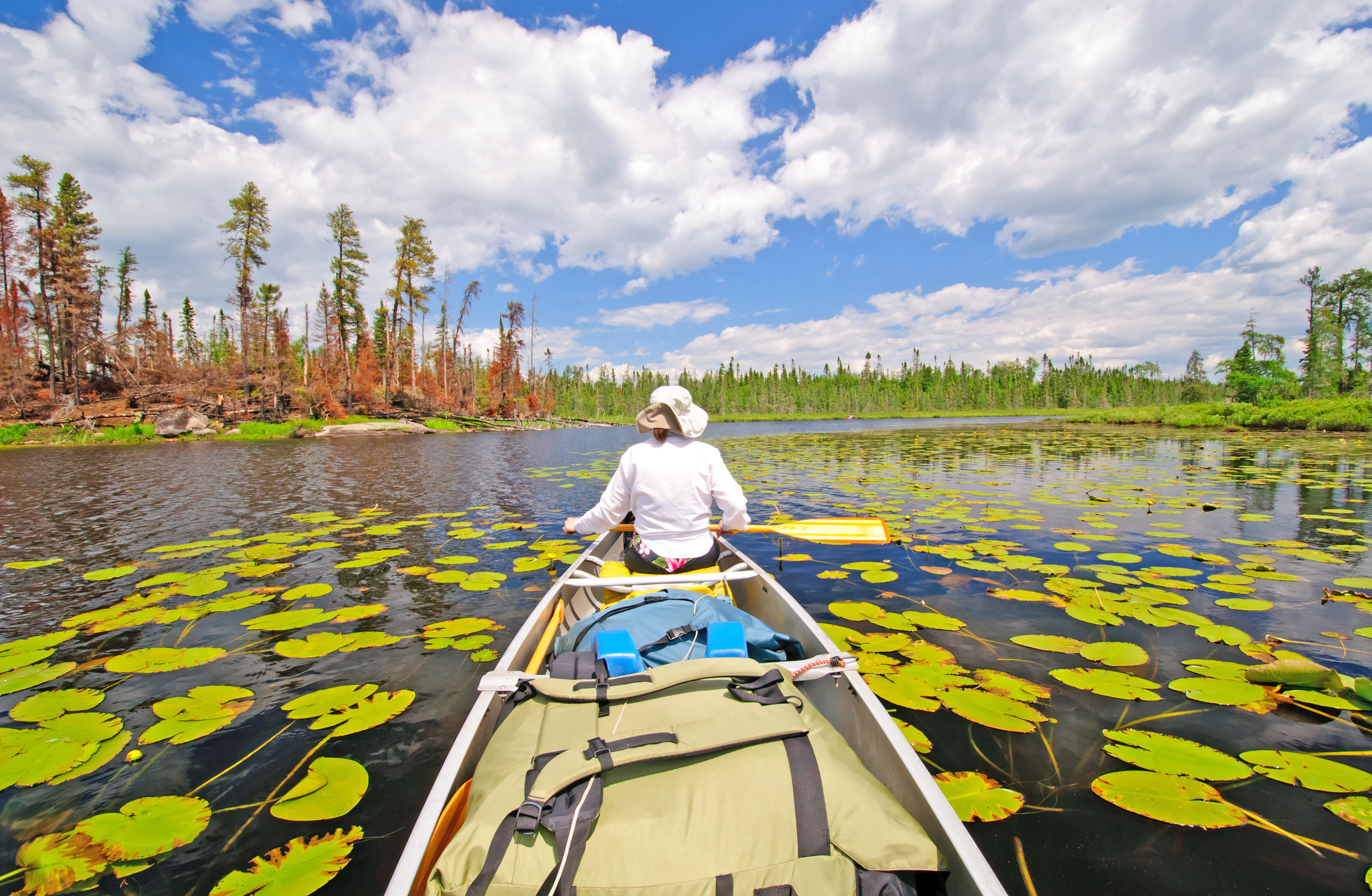 10 of the best lakes in Minnesota - Lonely Planet