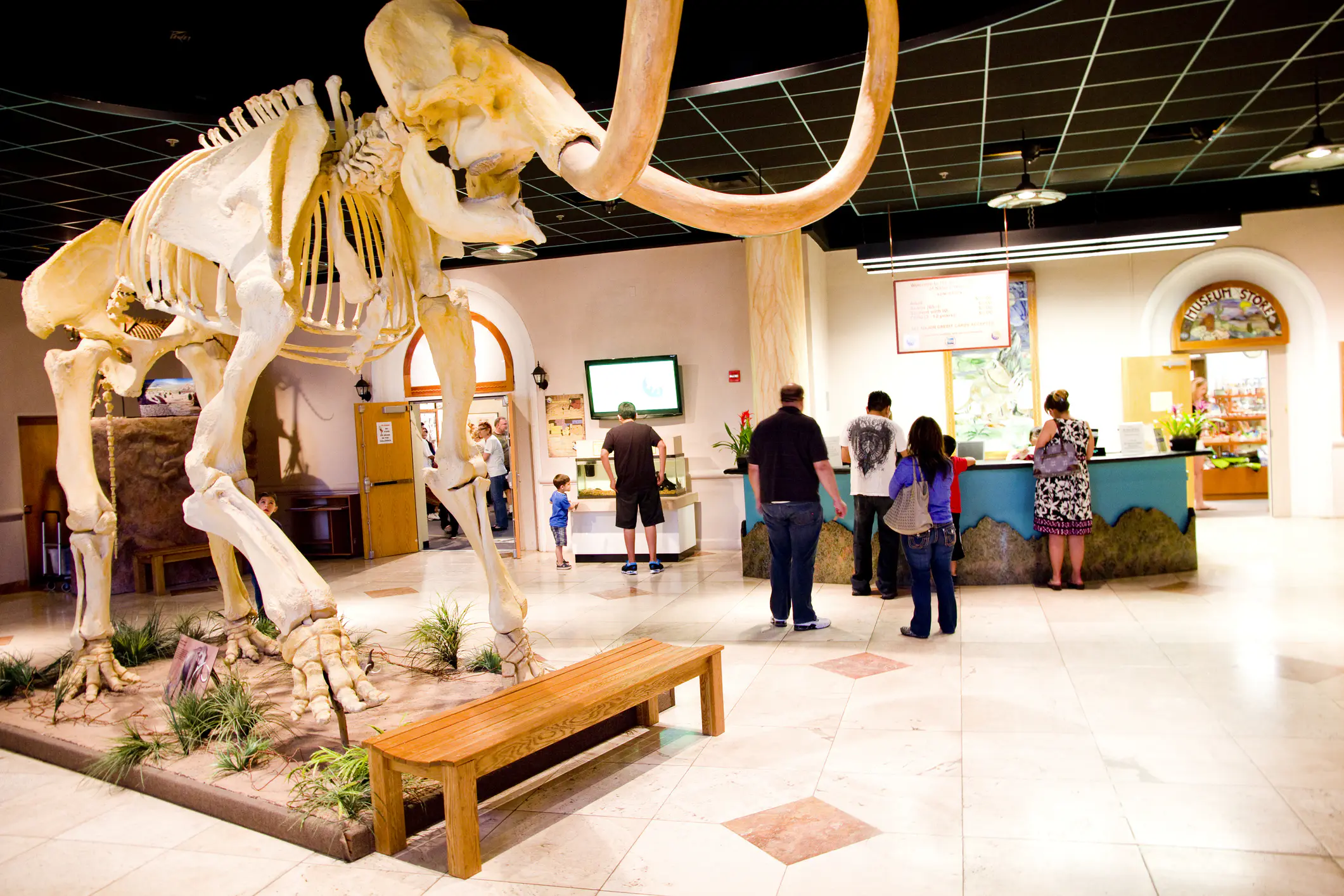 12 best museums in Phoenix - Lonely Planet