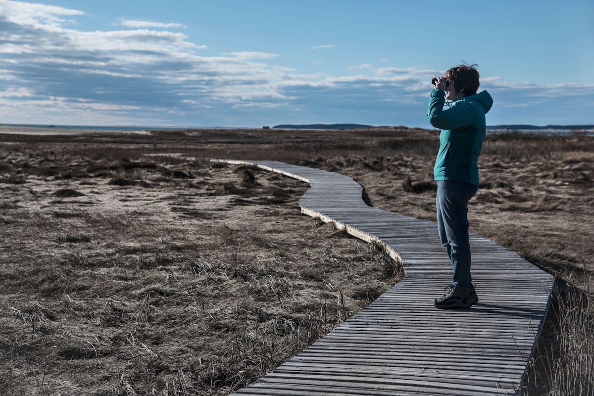Best time to visit Cape Cod - Lonely Planet
