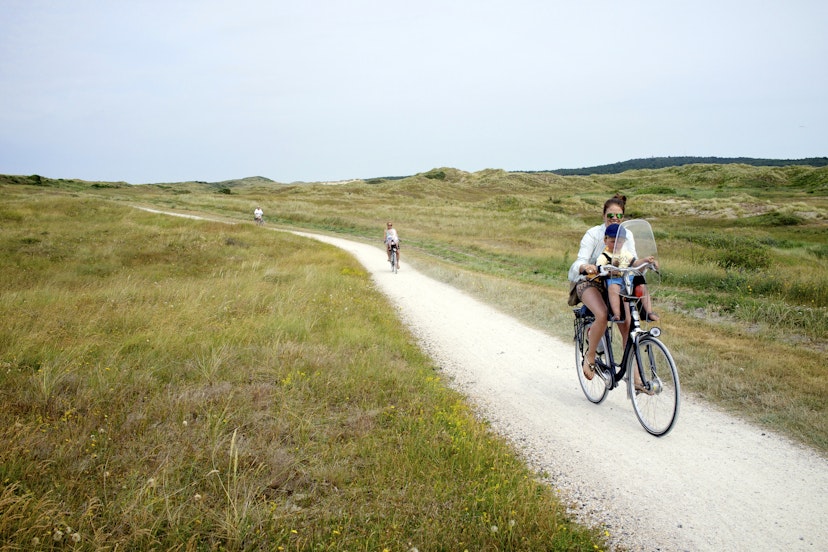 The Netherlands' 11 best cycling routes and locations - Lonely Planet