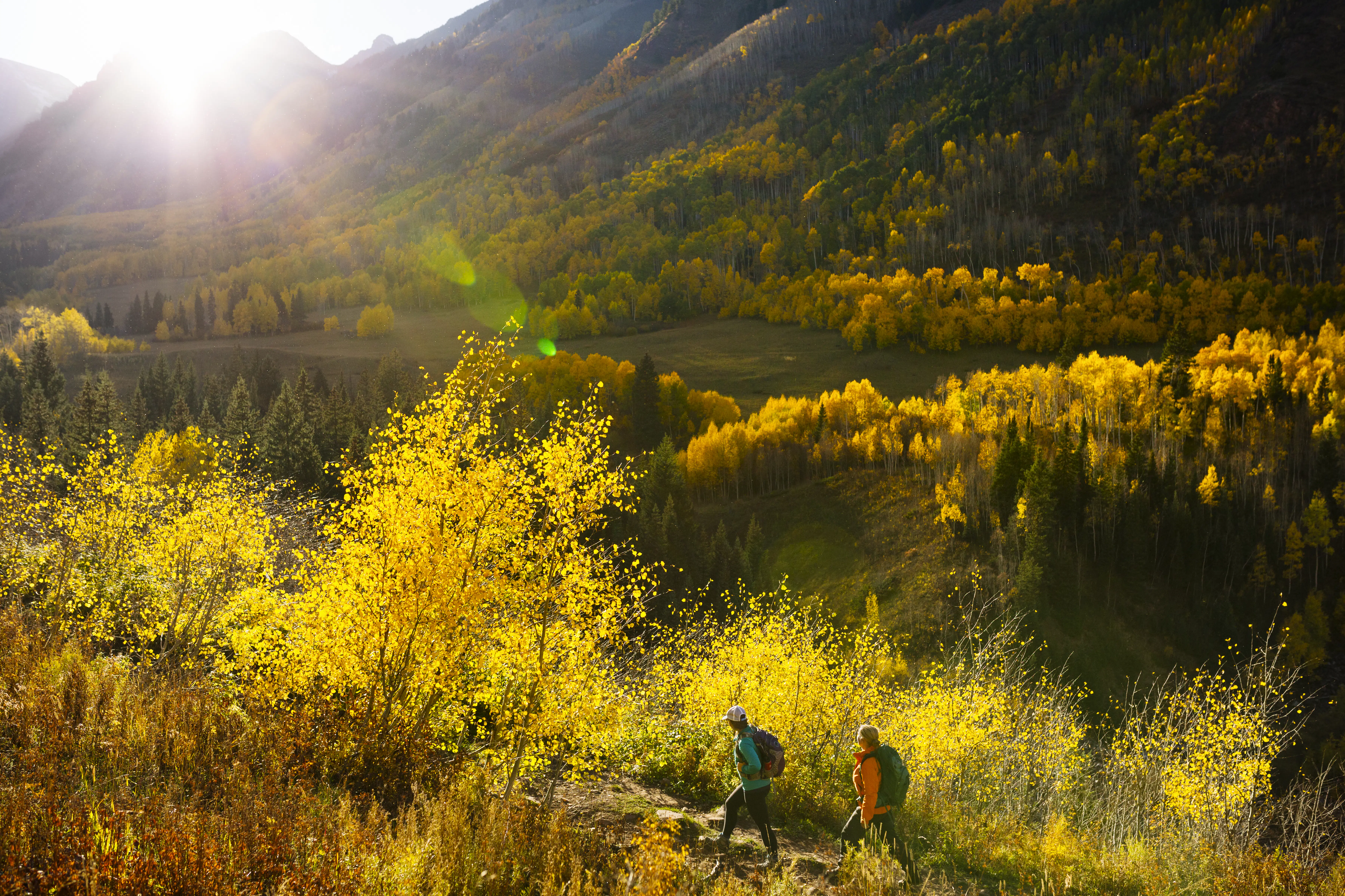 Guide to Telluride - Lonely Planet