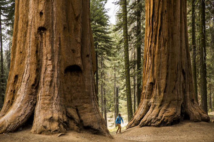 Best 12 hikes in California - Lonely Planet