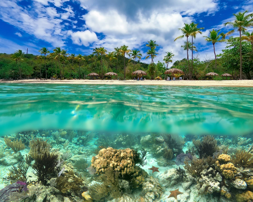 9 best beaches in St Thomas, US Virgin Islands - Lonely Planet