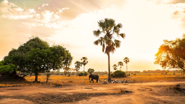 A first-time guide to Malawi - Lonely Planet