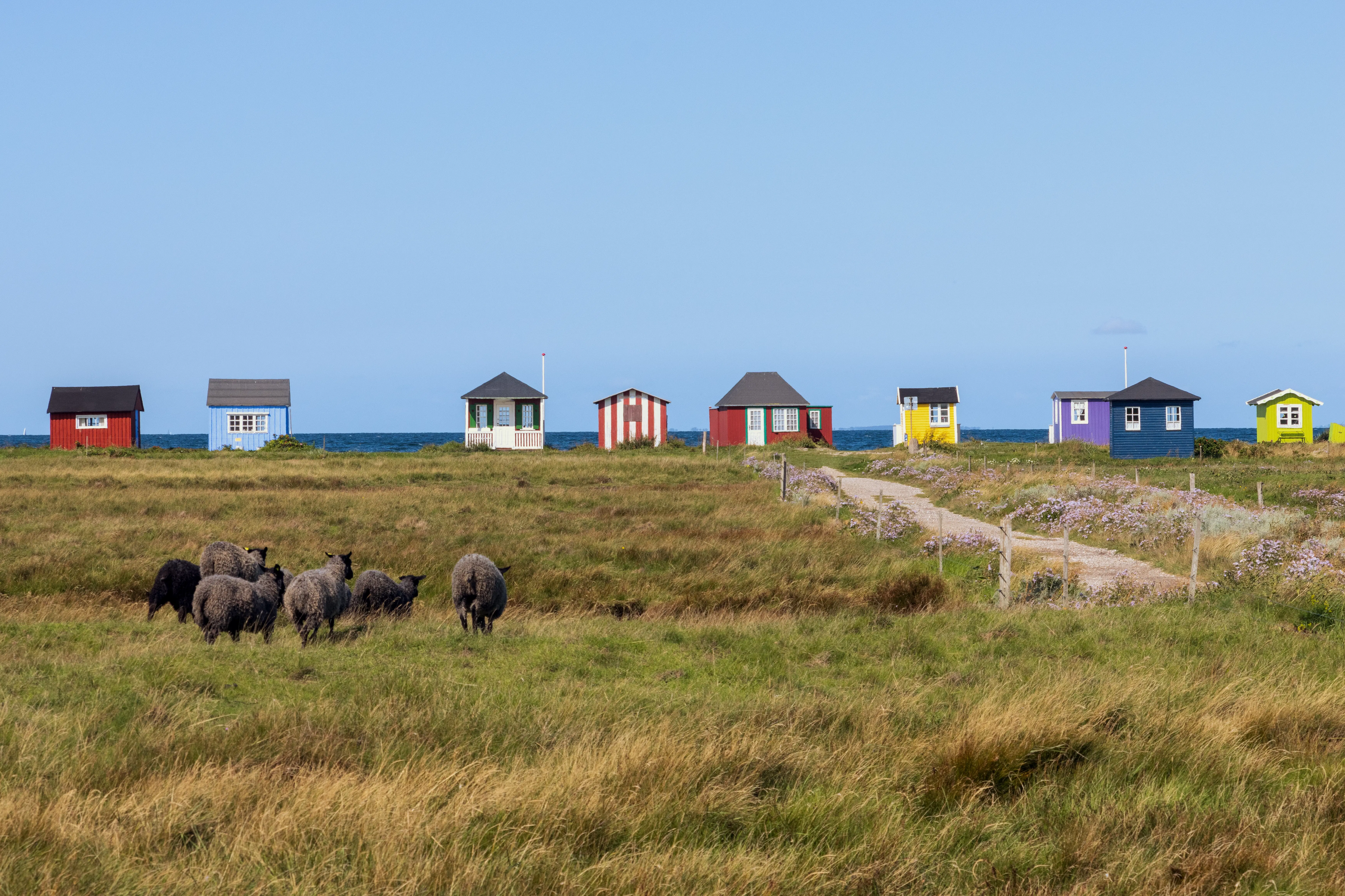 The 9 best things to do in Odense, Denmark - Lonely Planet