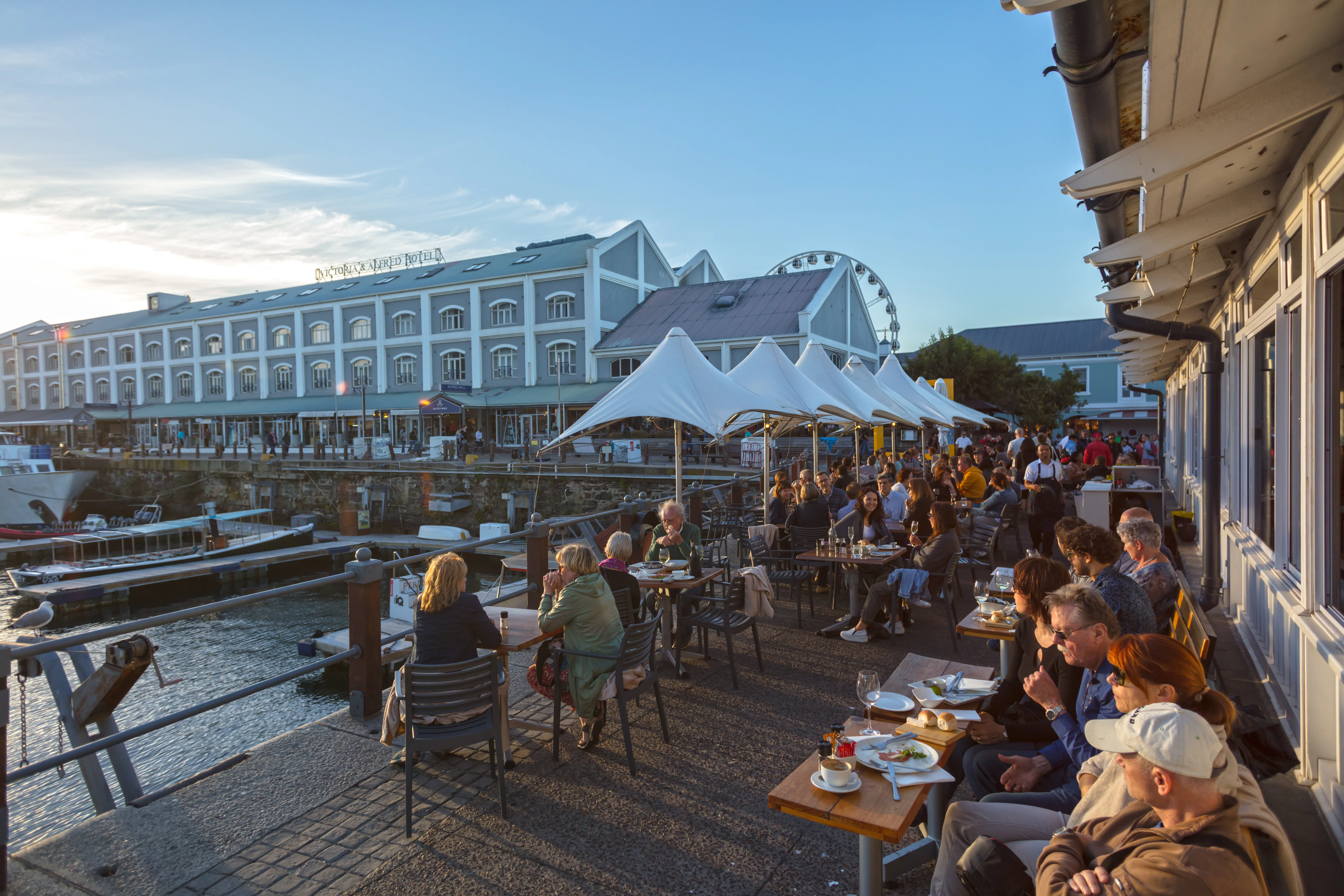 Discover the best South African food and drinks - Lonely Planet