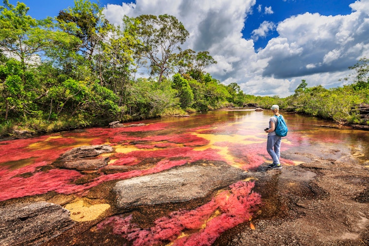 The best 9 national parks in Colombia - Lonely Planet