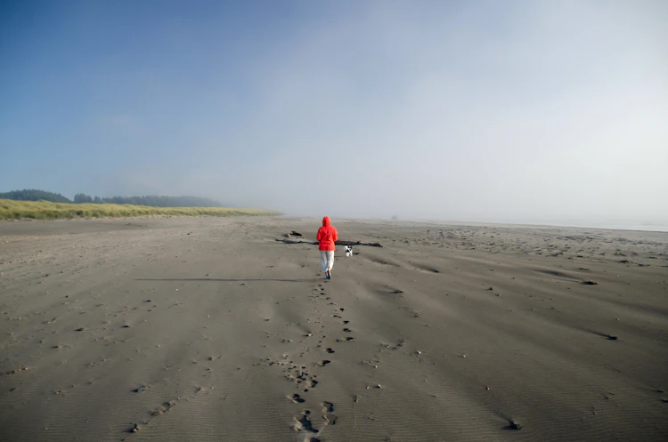 The 8 best beaches in Washington State - Lonely Planet