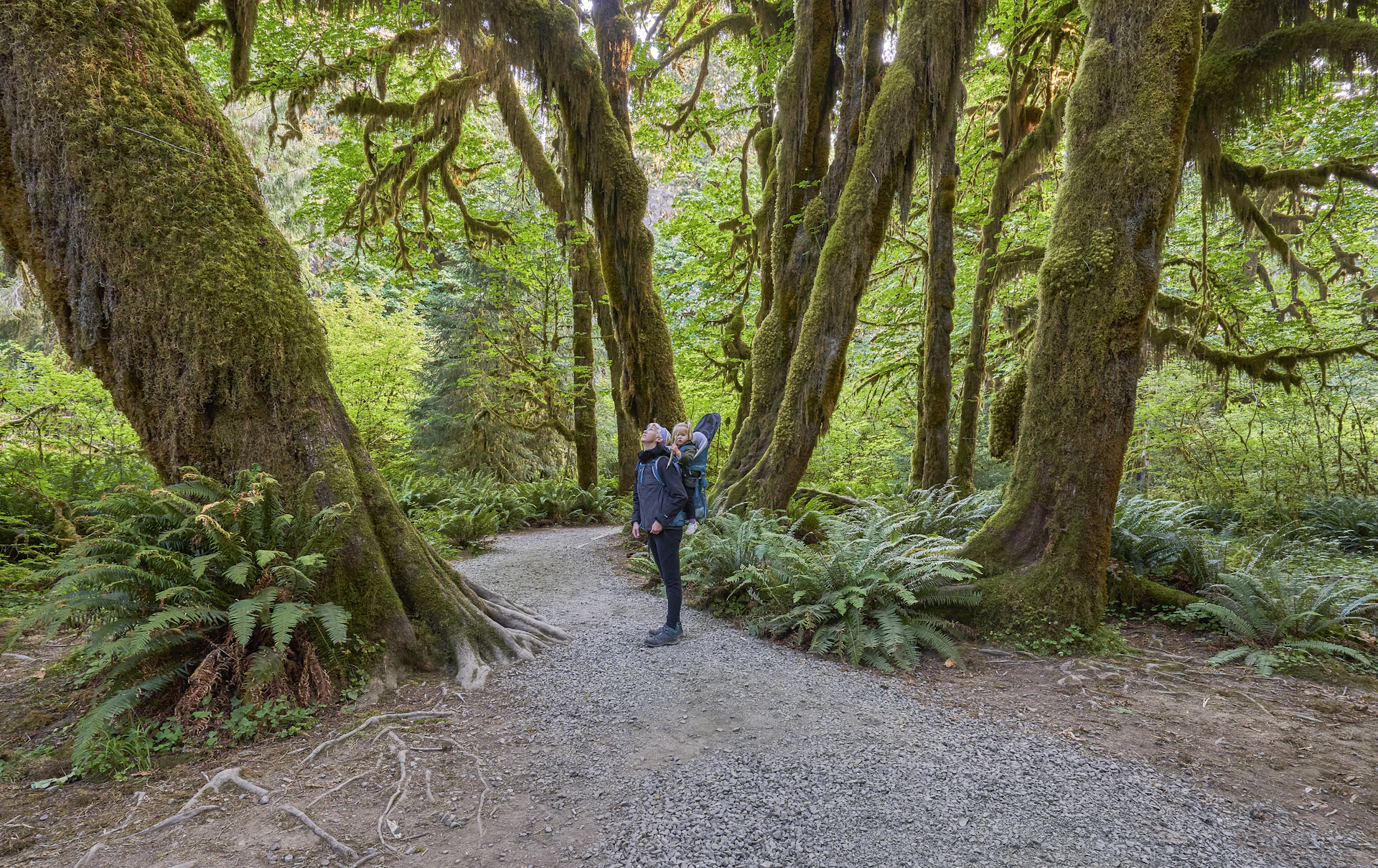 10 best places to visit in Washington State - Lonely Planet