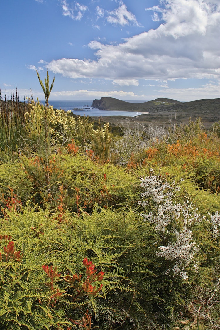 Bountiful Bruny Island: Tasmania's foodie destination ~ Lonely Planet ...