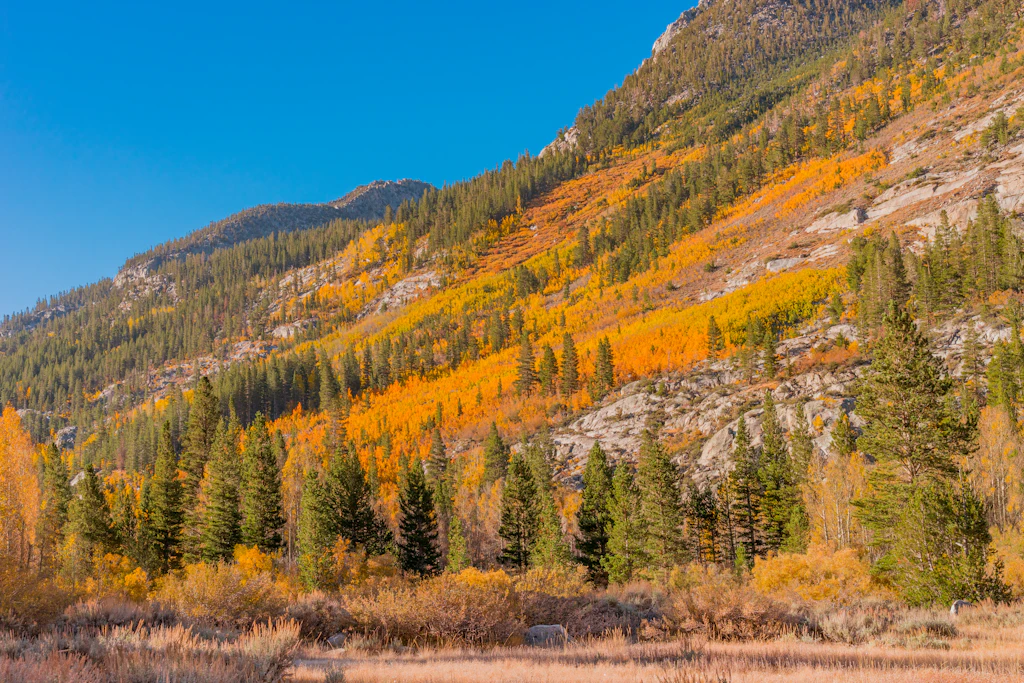 10 most beautiful destinations to see fall colors in 2024 - Lonely Planet