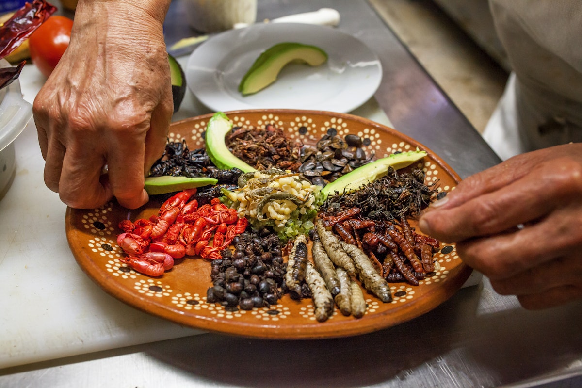 Where to dine on insects in North America - Lonely Planet