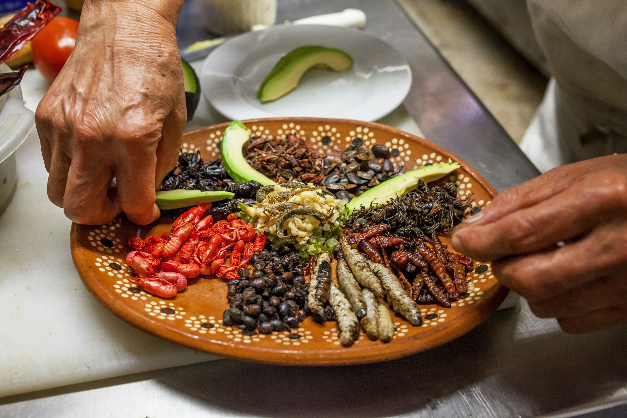 Where to dine on insects in North America - Lonely Planet