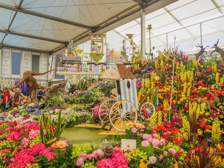 Europe's most incredible flower displays for 2022 - Lonely Planet