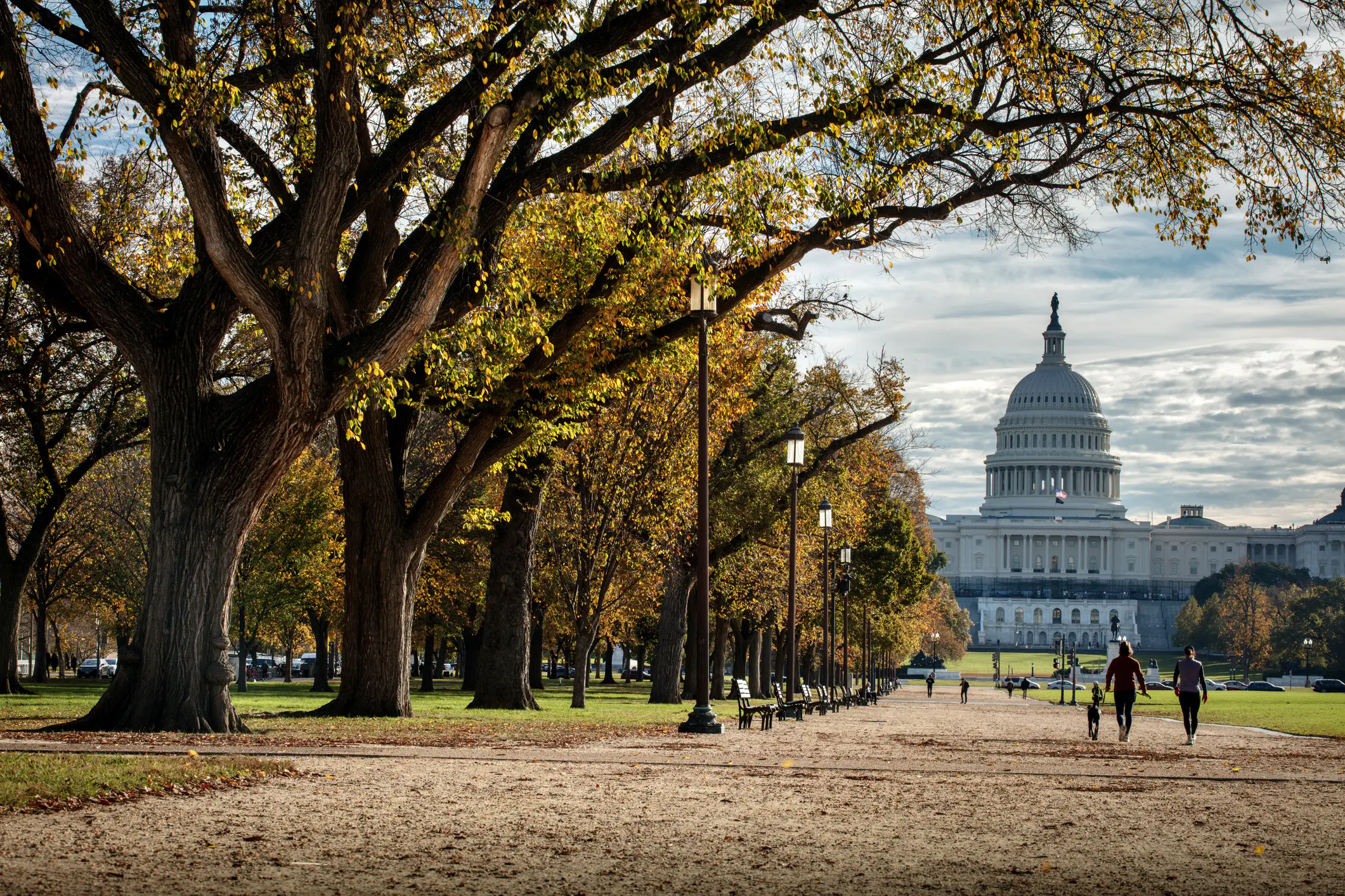 A walking tour of the National Mall, Washington, DC - Lonely Planet