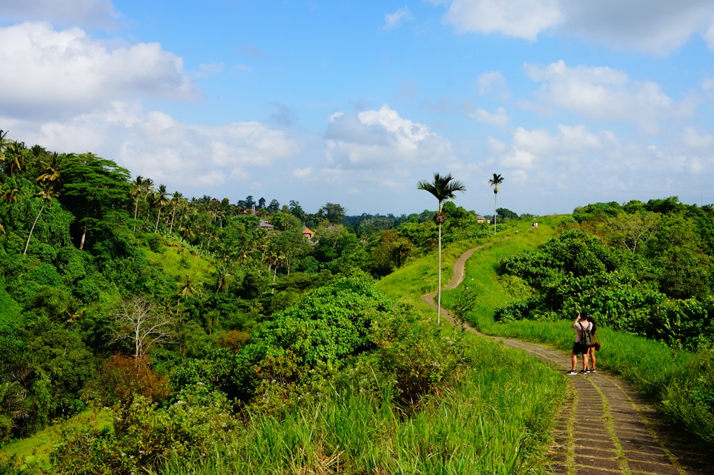 7 best hikes in Bali - Lonely Planet