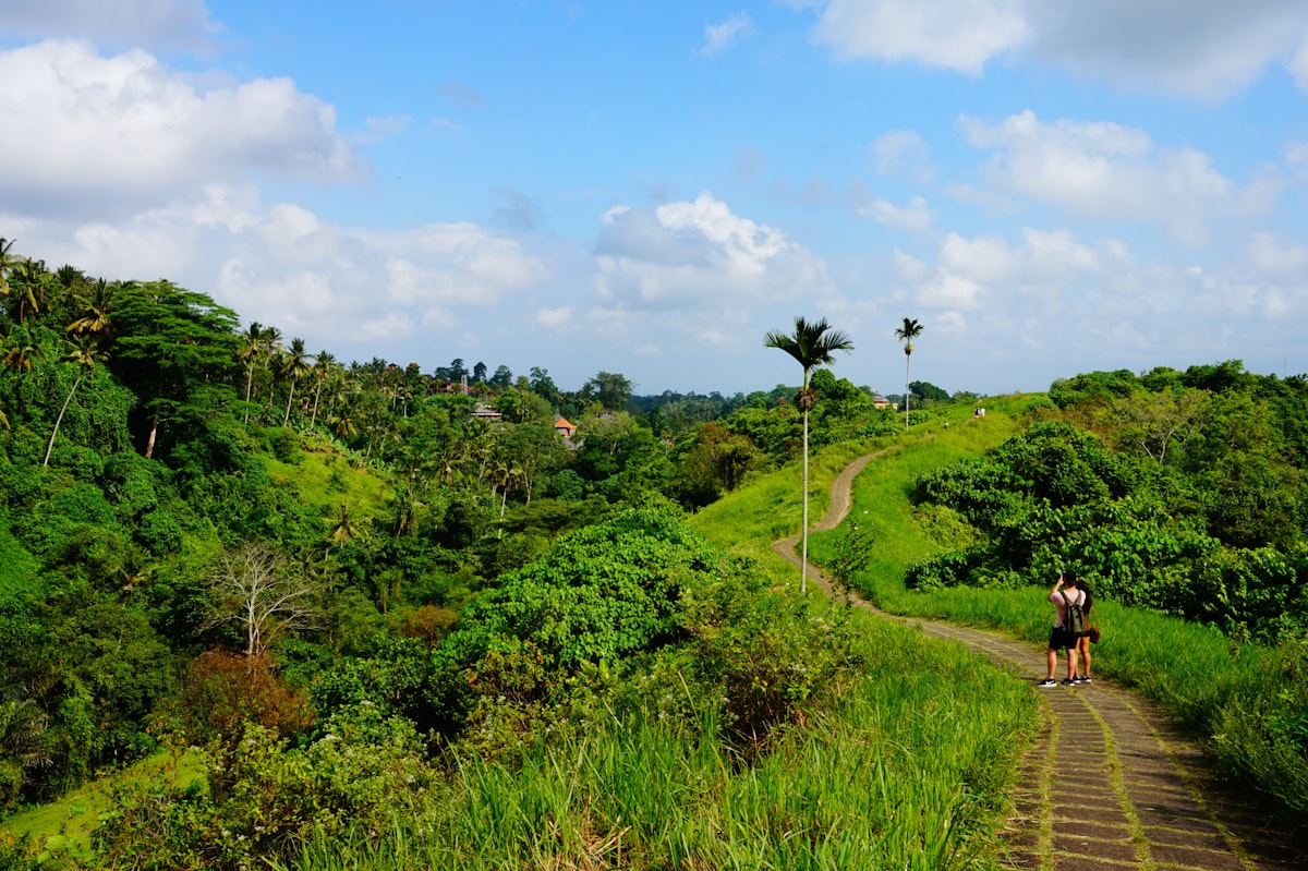 7 best hikes in Bali - Lonely Planet