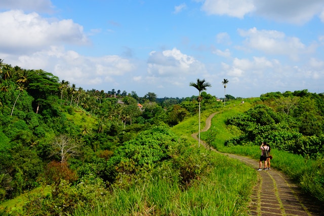 7 best hikes in Bali - Lonely Planet