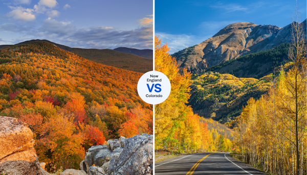 New England maples vs Colorado aspens: which US region has better fall ...