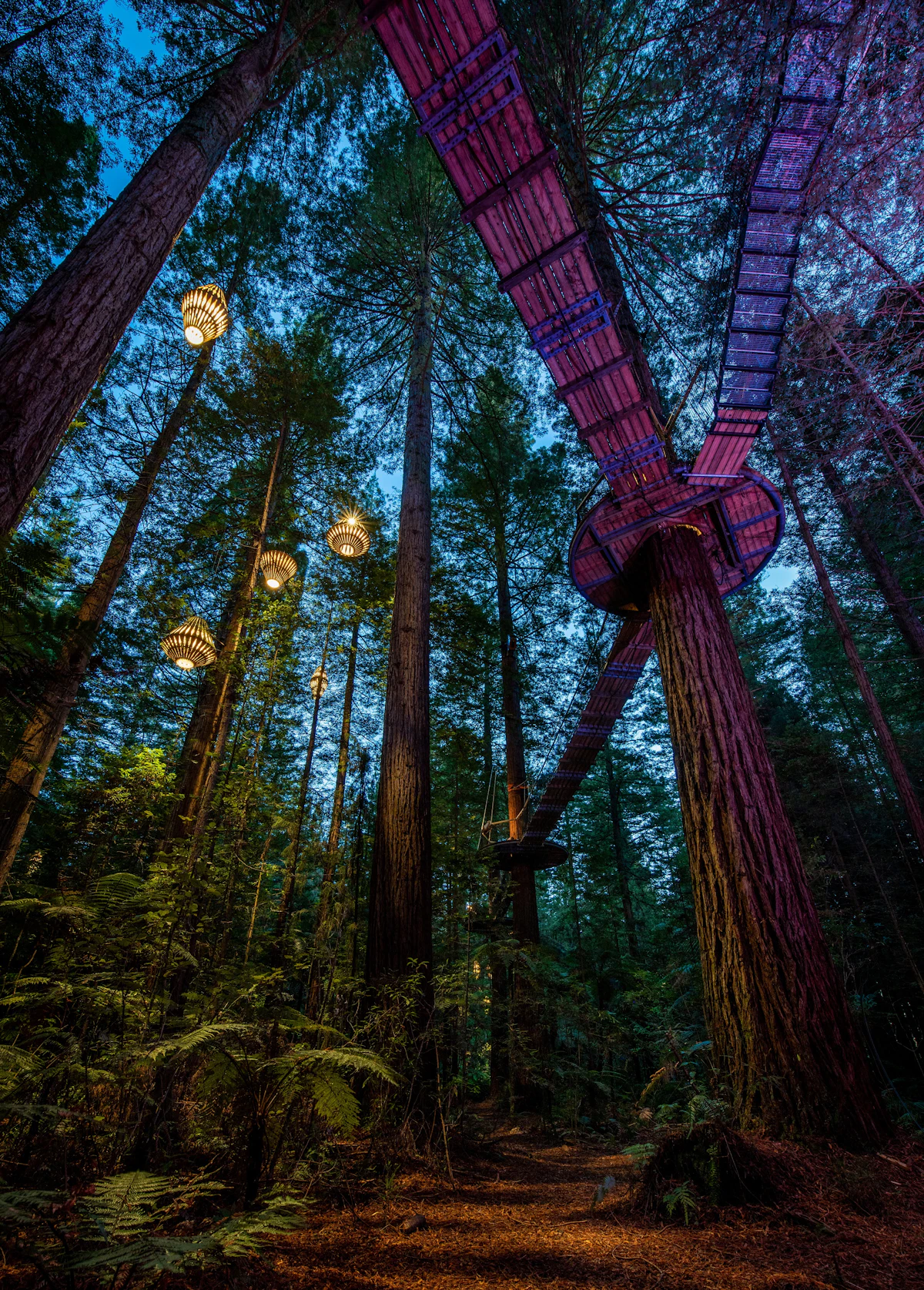 Best canopy walkways in the world - Lonely Planet