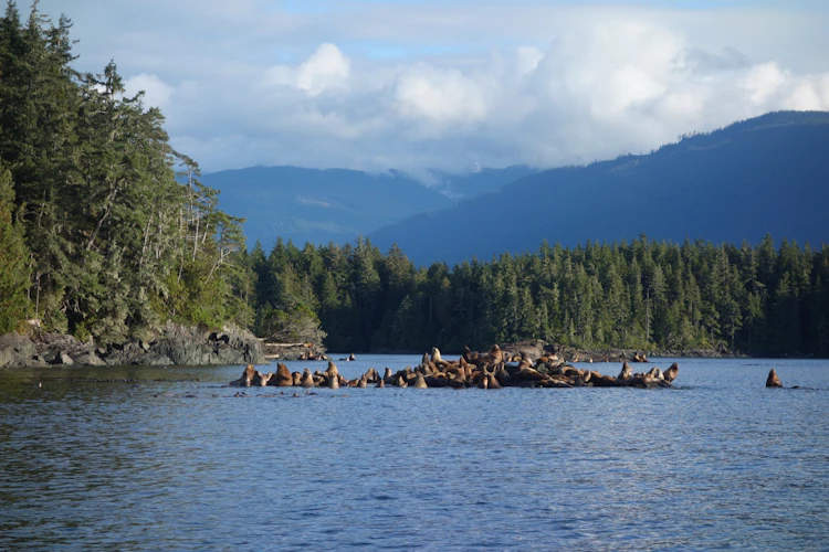 Experience BC's First Nations traditions - Lonely Planet