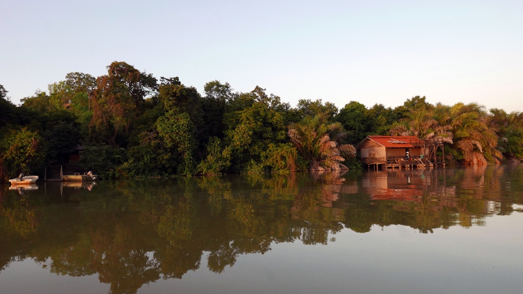 Chimpanzee safari in The Gambia - Lonely Planet