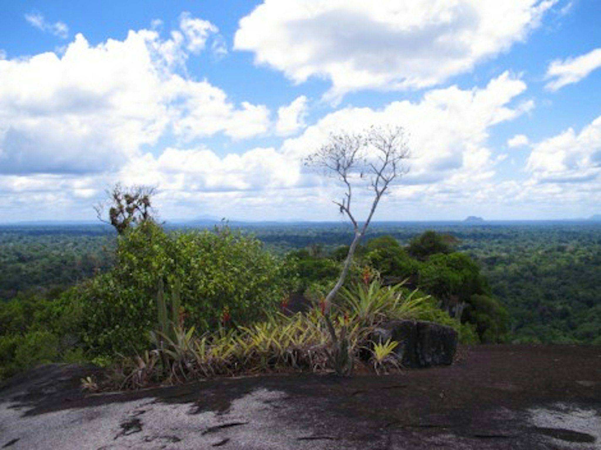 A first-timer's guide to the Guianas - Lonely Planet