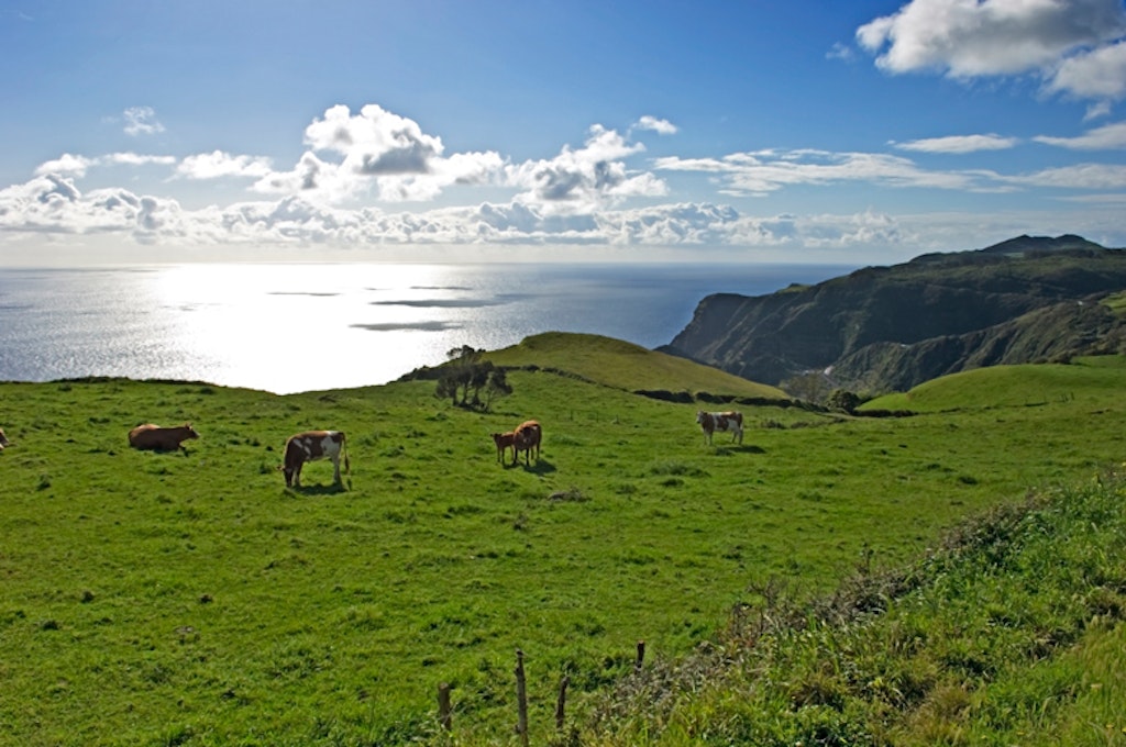 An island-hopper's guide to the Azores - Lonely Planet
