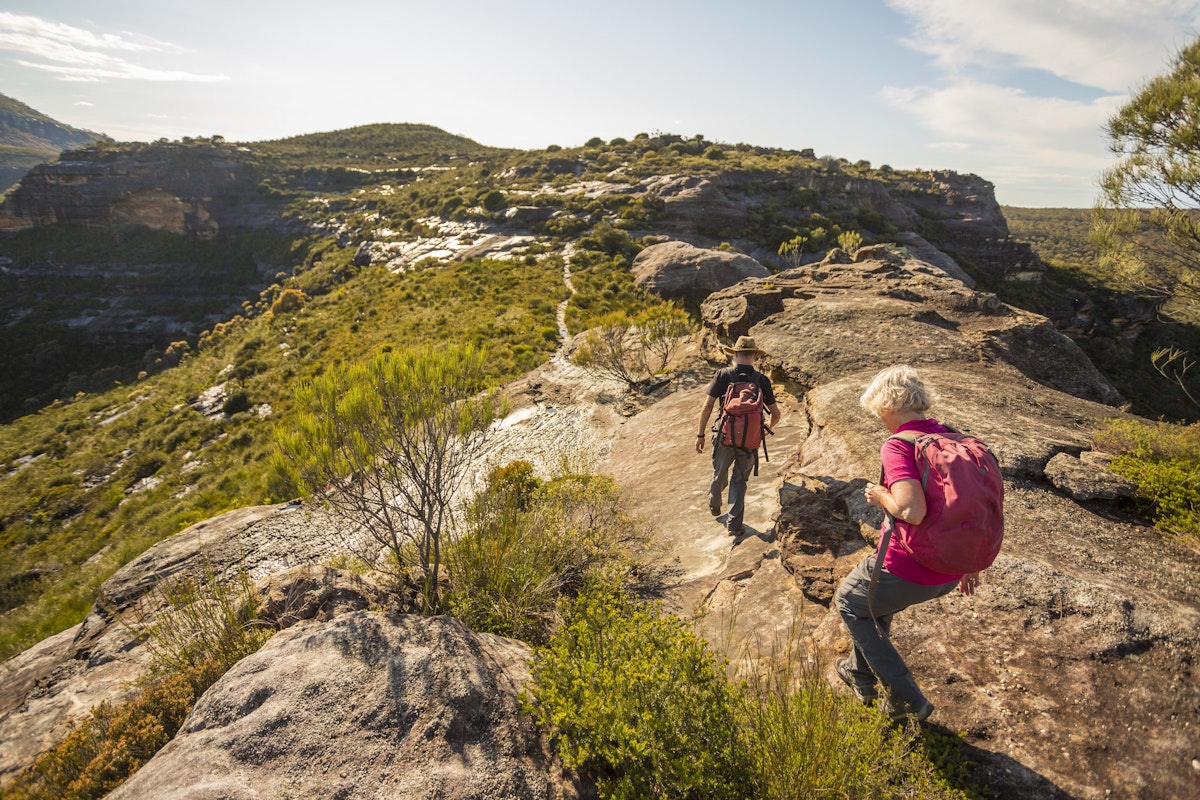 Best bushwalk and trail runs in Australia - Lonely Planet