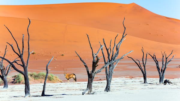 A first-time guide to Namibia - Lonely Planet