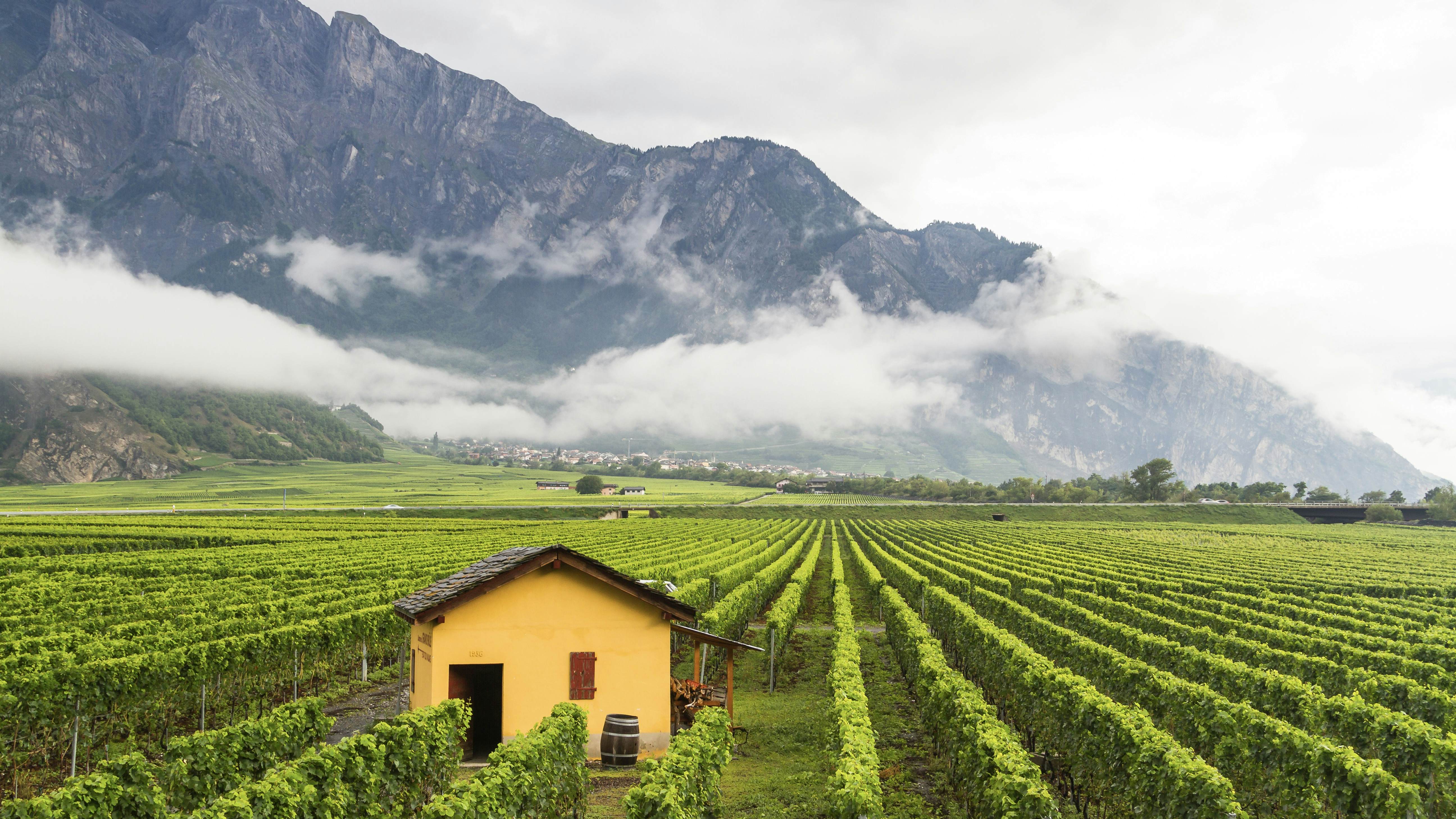 Top things to do in Geneva - Lonely Planet