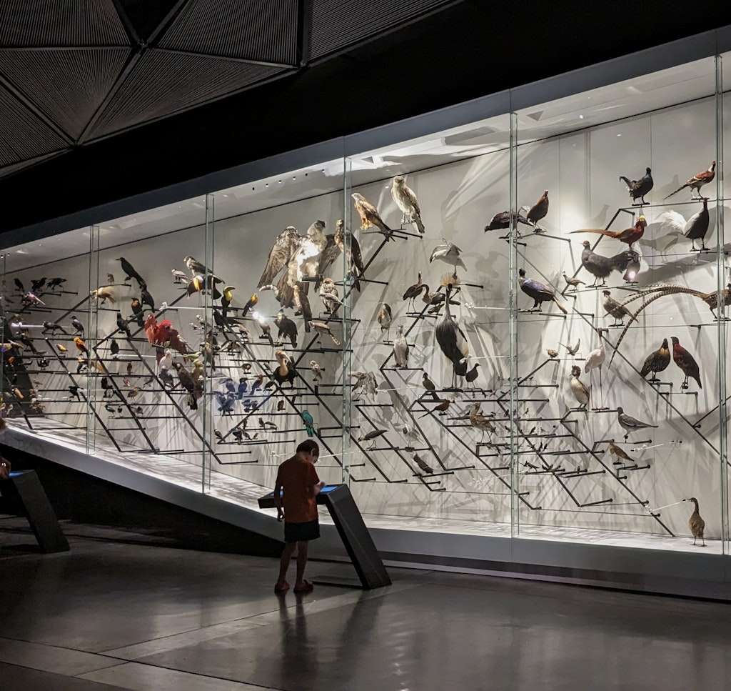 Your guide to the ultimate weekend in Lyon - Lonely Planet