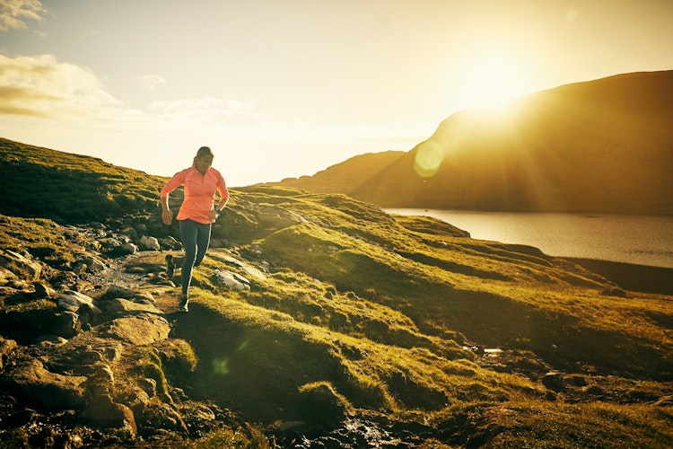 Best bushwalk and trail runs in Australia - Lonely Planet