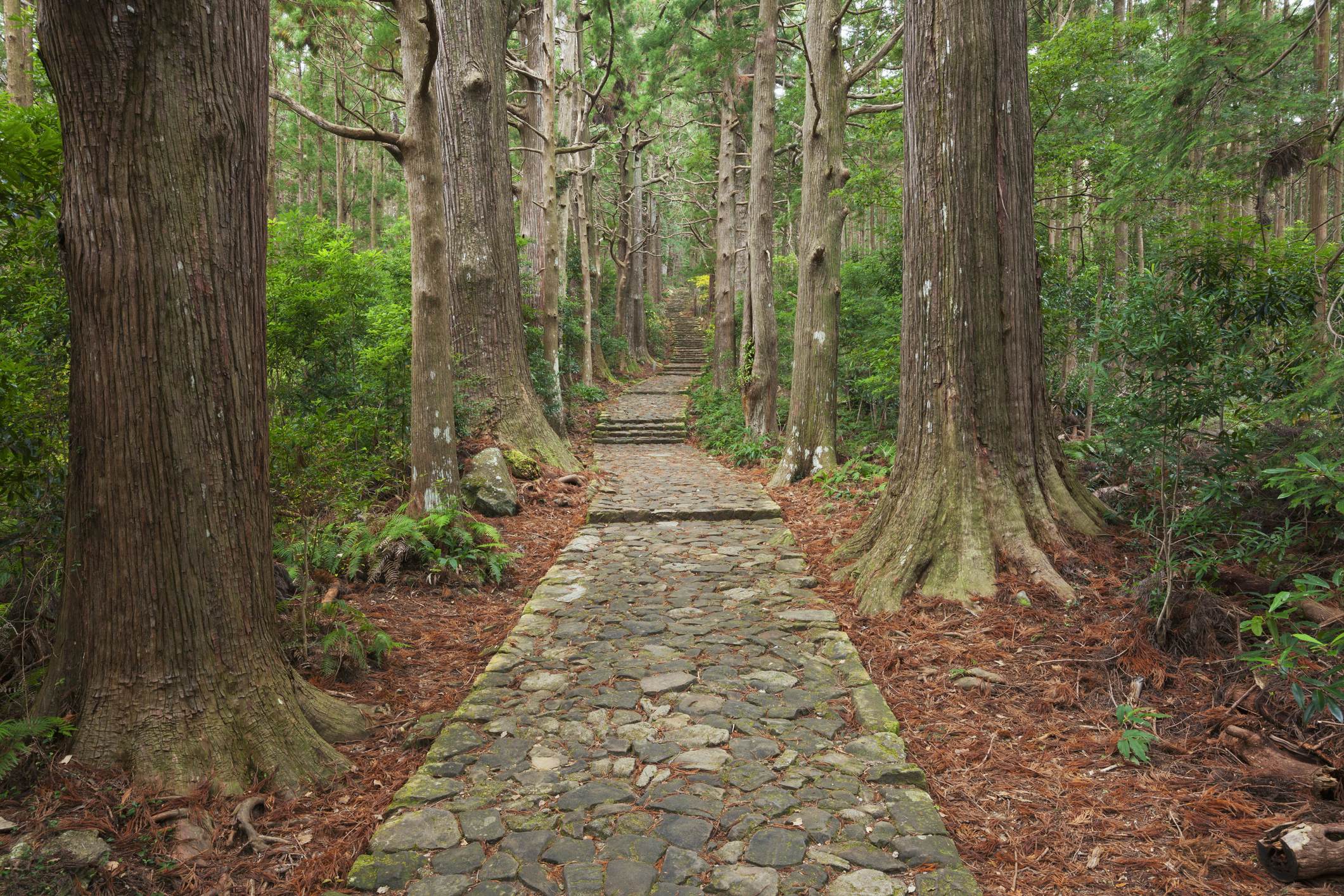 7 best national parks in Japan - Lonely Planet