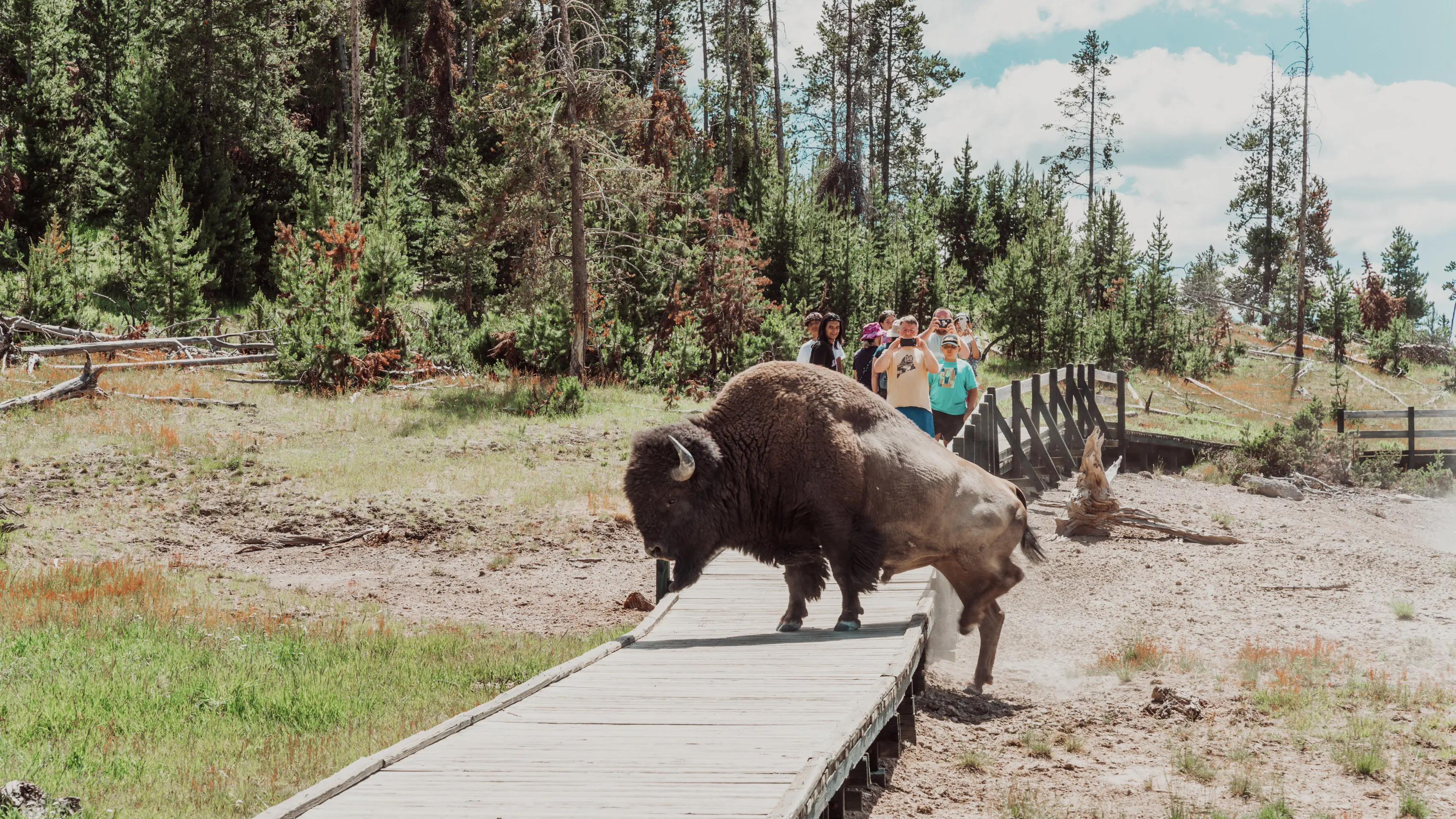 17 of the best things to do in Bozeman, Montana - Lonely Planet