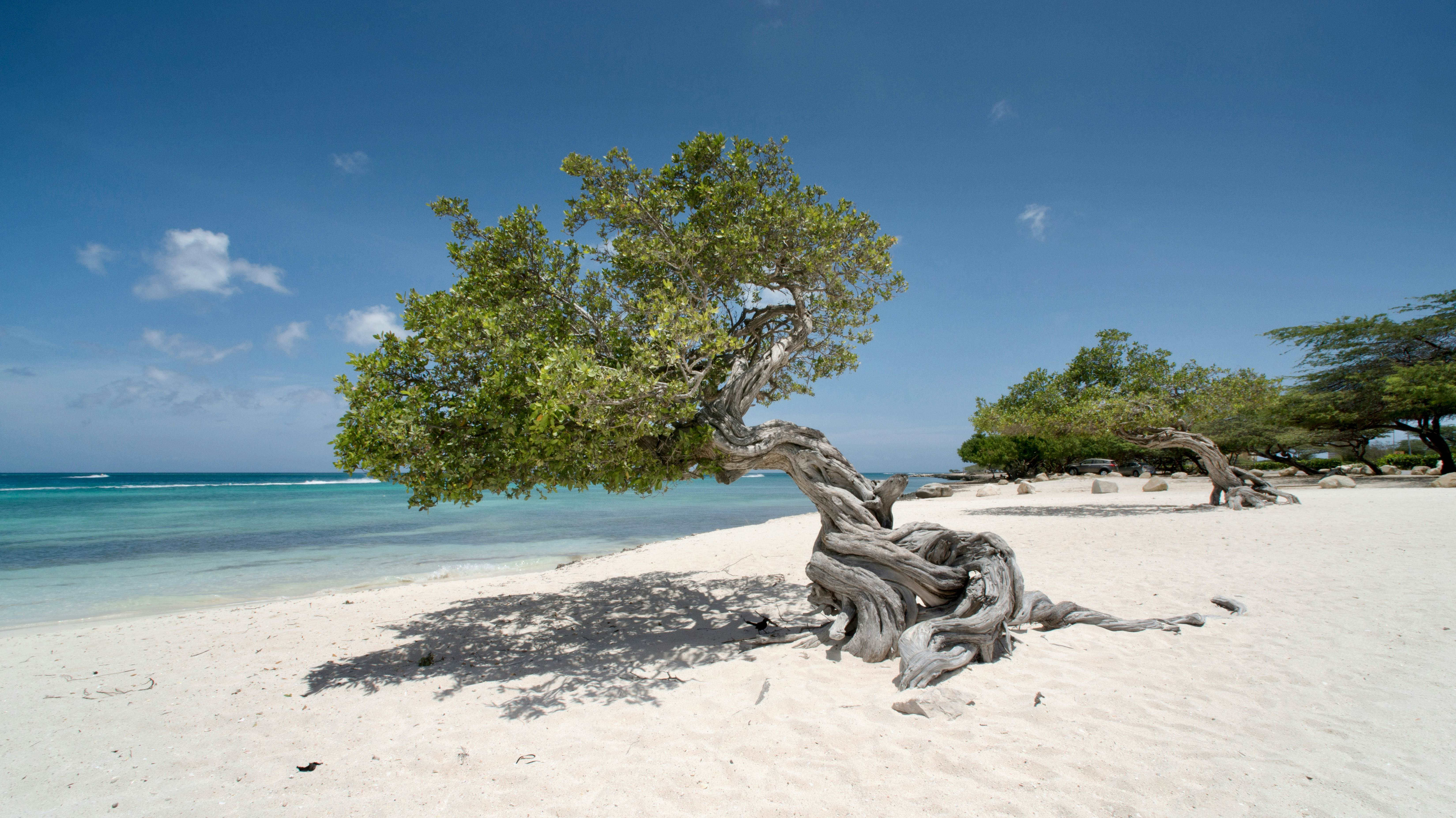 Guide to Aruba - Lonely Planet