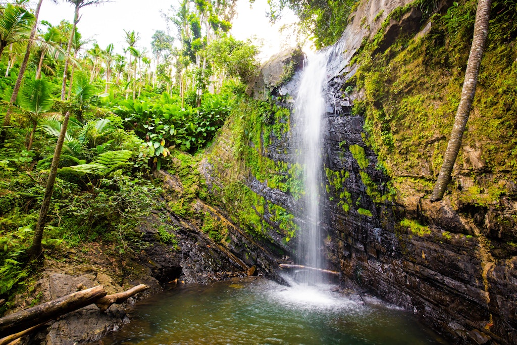How to spend a day in El Yunque, Puerto Rico - Lonely Planet