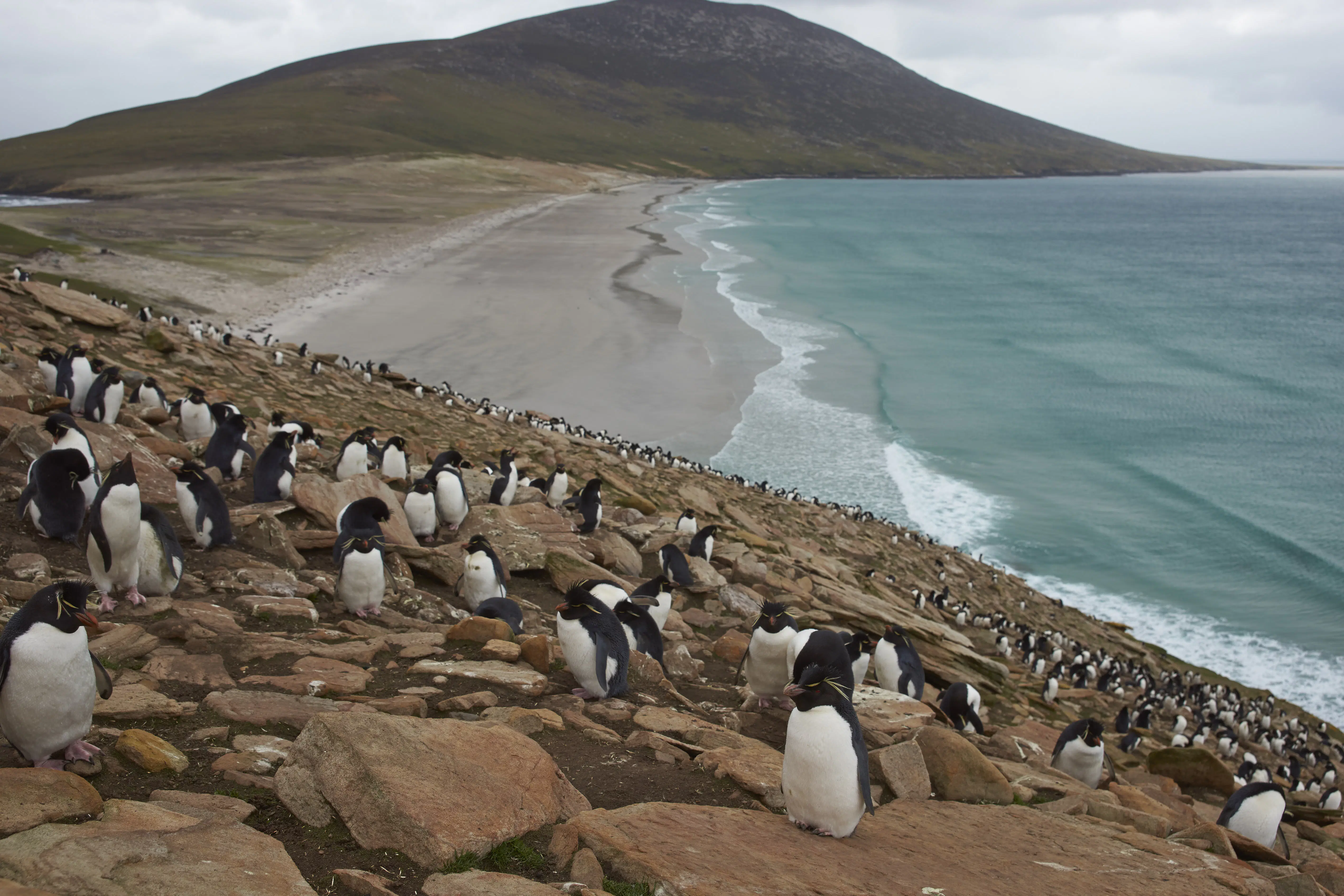 An essential guide to the Falkland Islands – Lonely Planet - Lonely Planet
