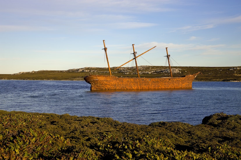 An essential guide to the Falkland Islands – Lonely Planet - Lonely Planet
