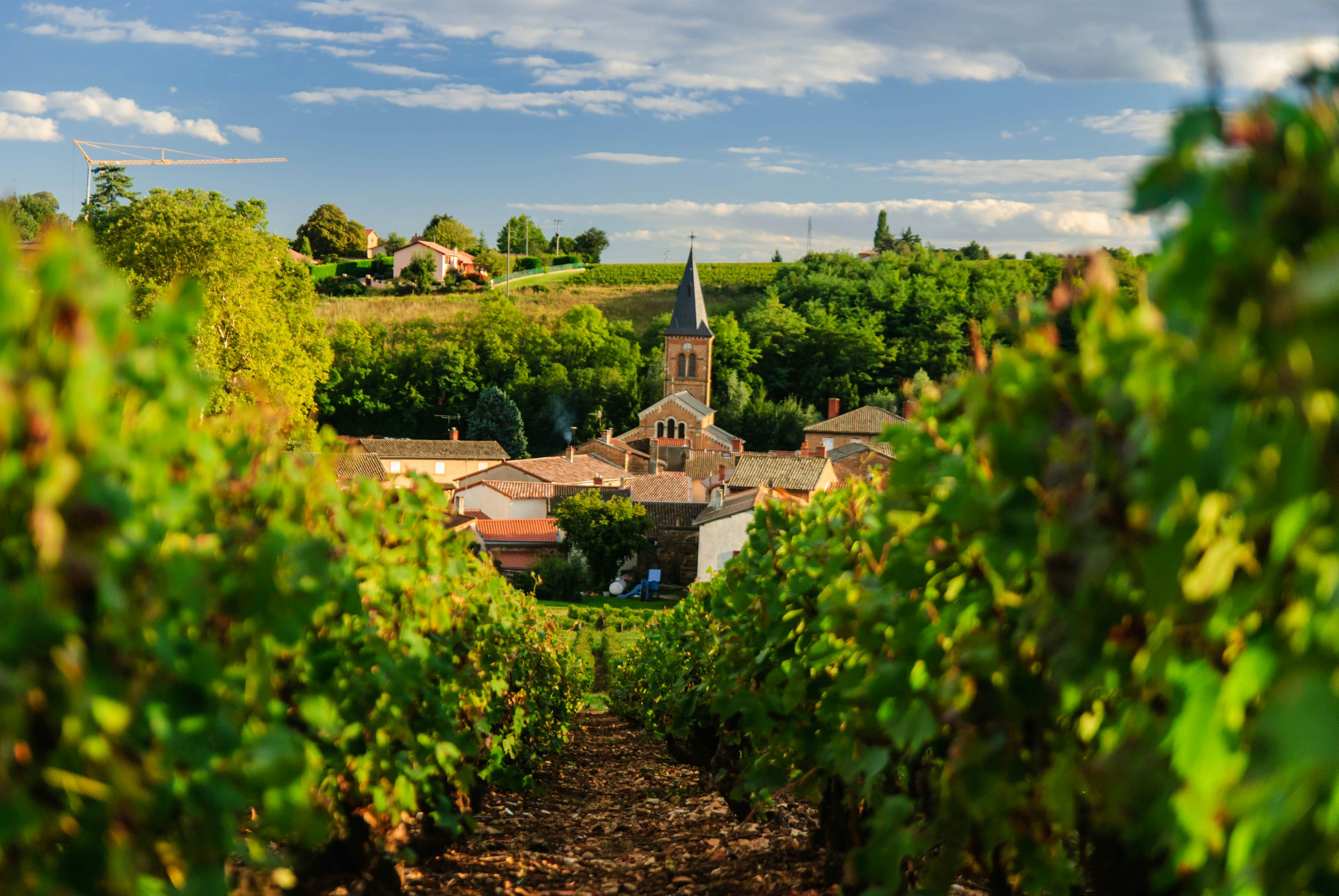 Best day trips from Geneva - Lonely Planet