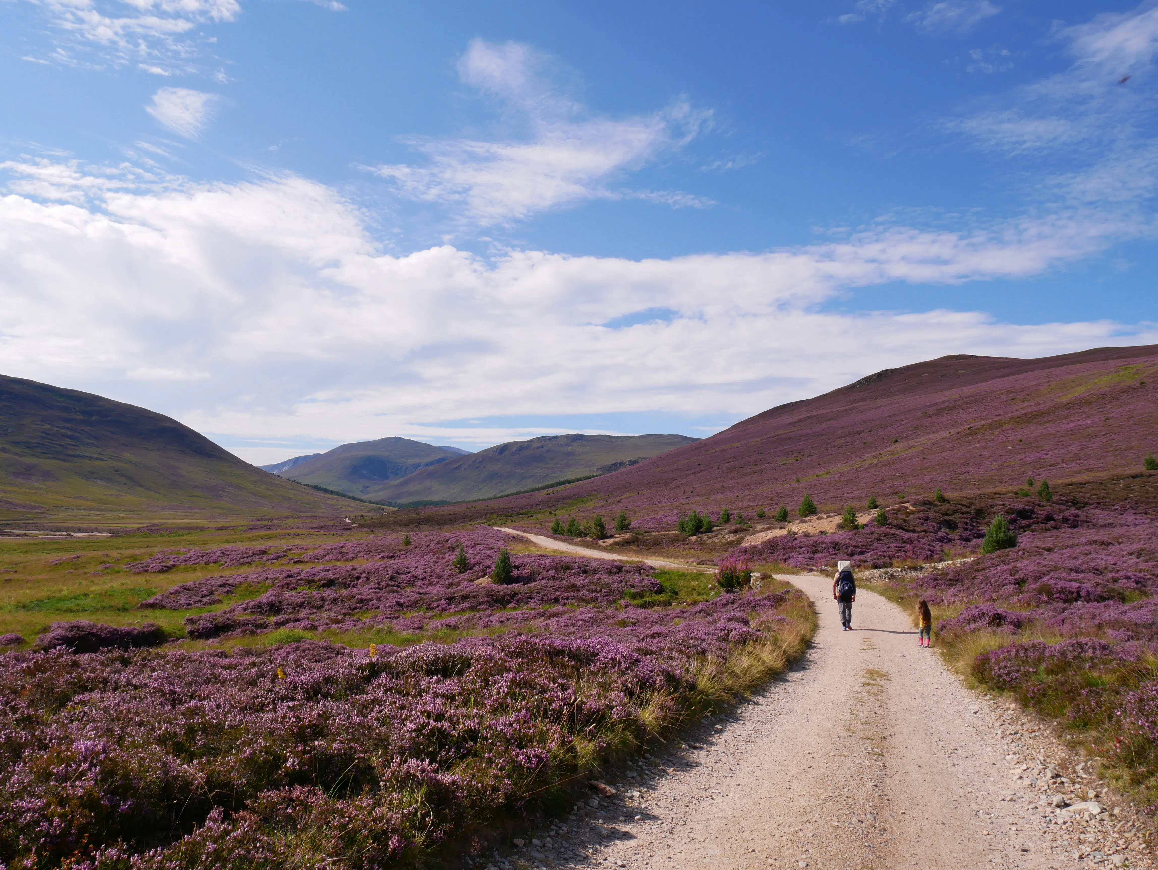 The 15 best historic sights in England - Lonely Planet