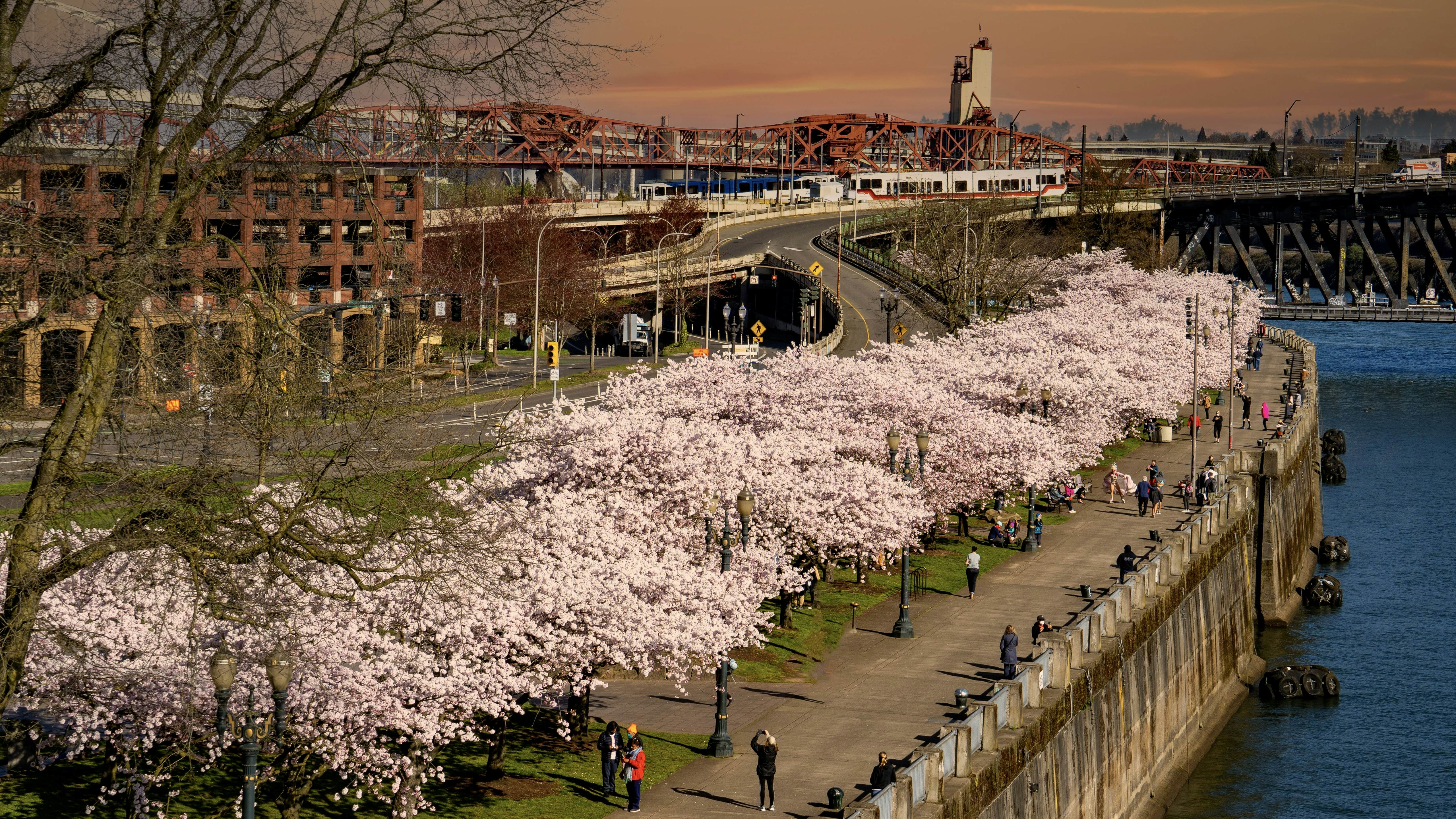 The best time to visit Portland, Oregon - Lonely Planet