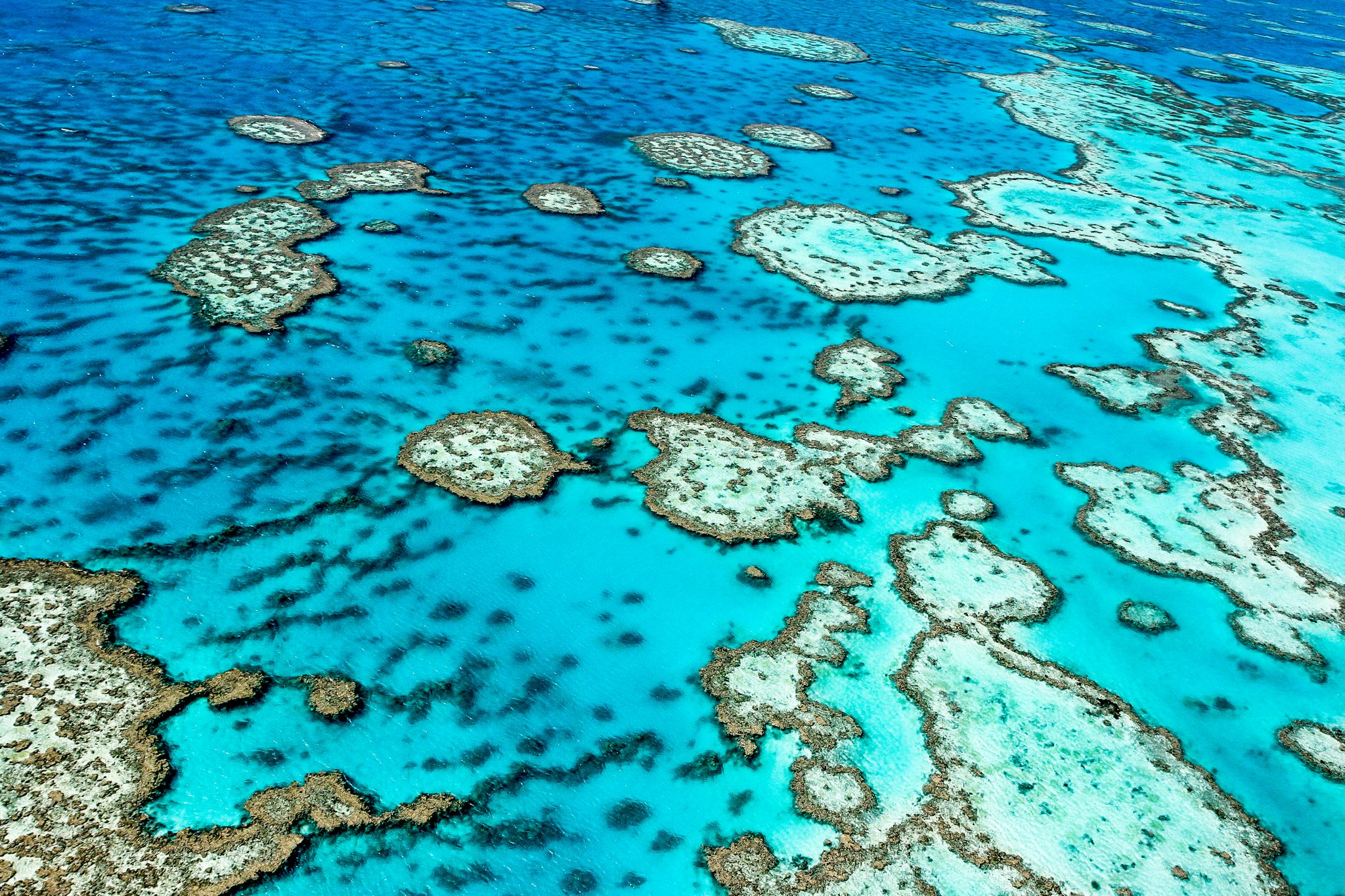 The best diving and snorkeling in Australia - Lonely Planet